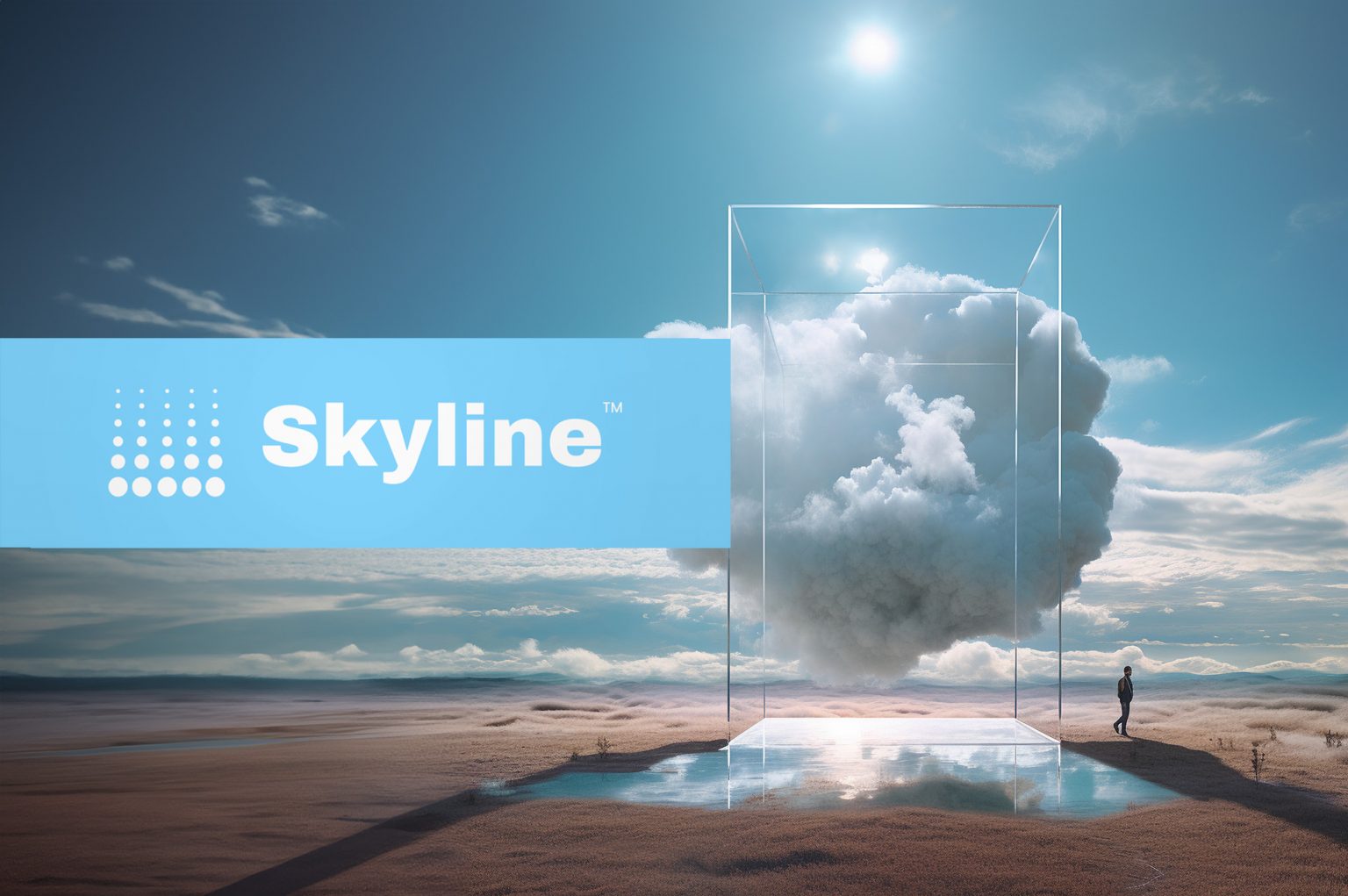 PCDS – Primary Care Digital Services